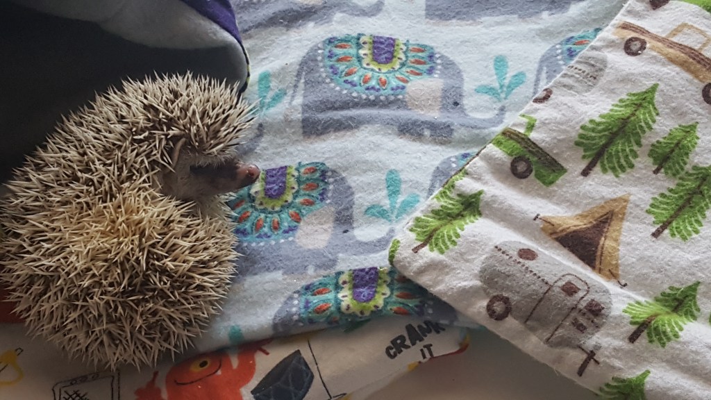 Critter Cuddle Sack – Love Craft Sew